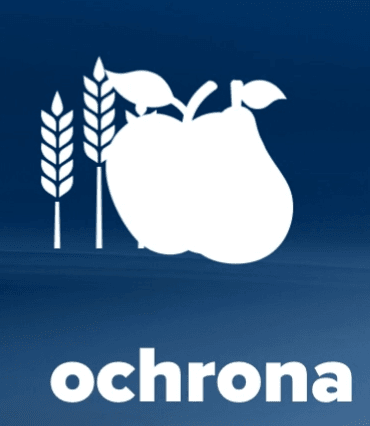 Mączniak pod kontrolą - Cyflux 50 EW - Agrosimex.pl